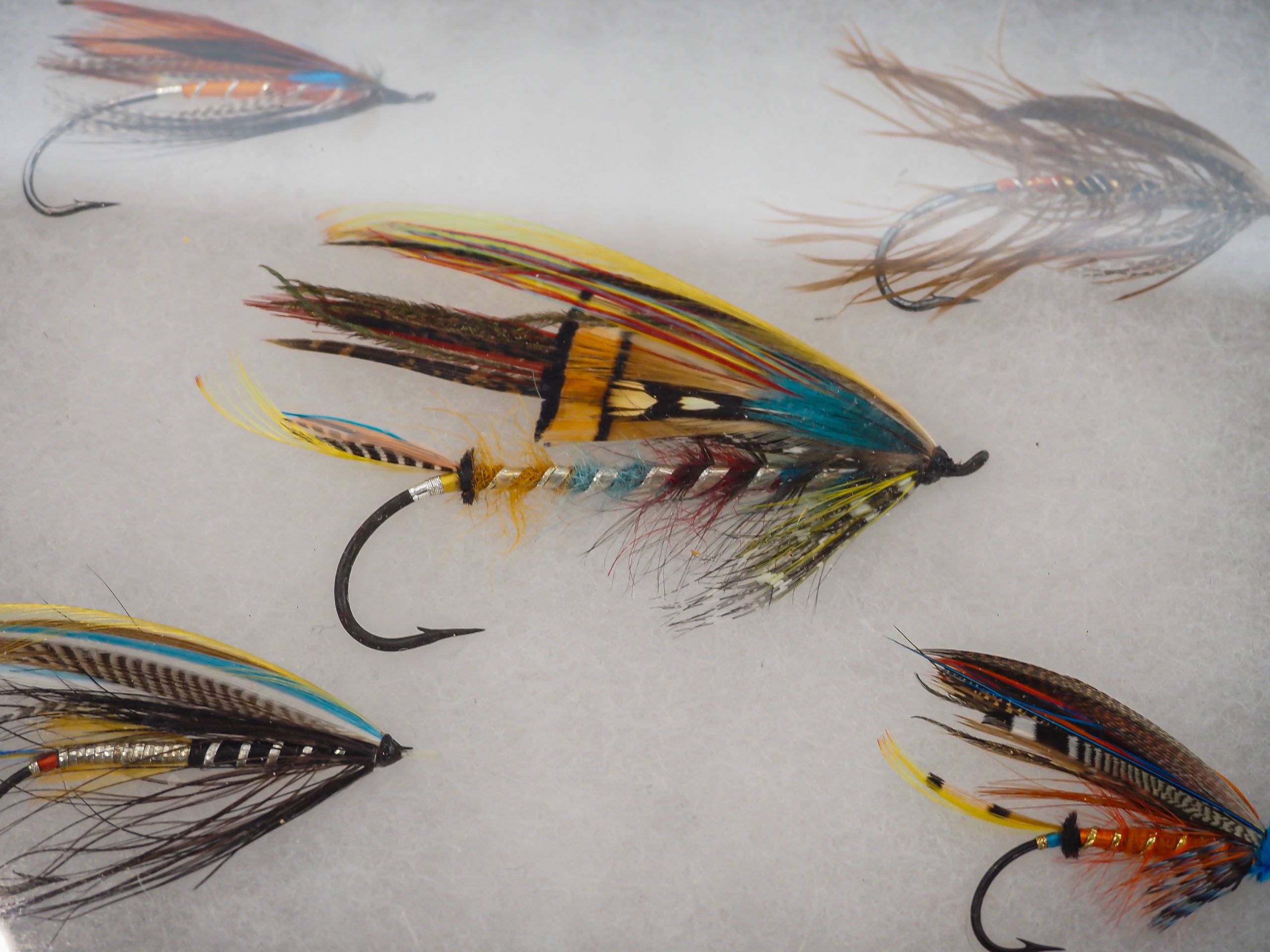 Aaron Miller – Garren Wood