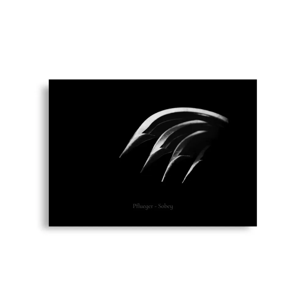 The Bench is Restocked: New Hooks, Art, and Inspiration – Garren Wood